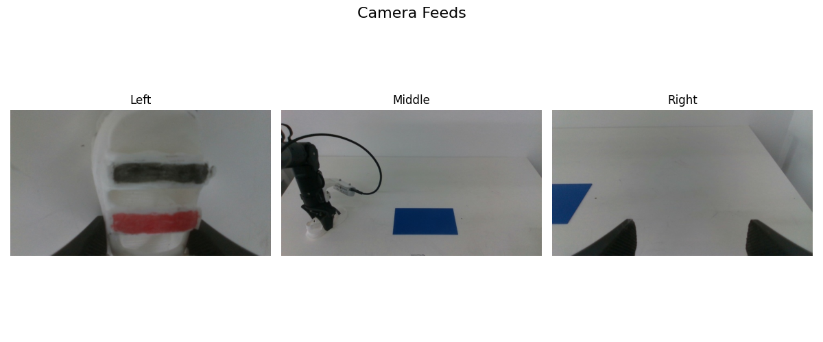 Accessing and Visualizing Datasets - RoboOrchardLab