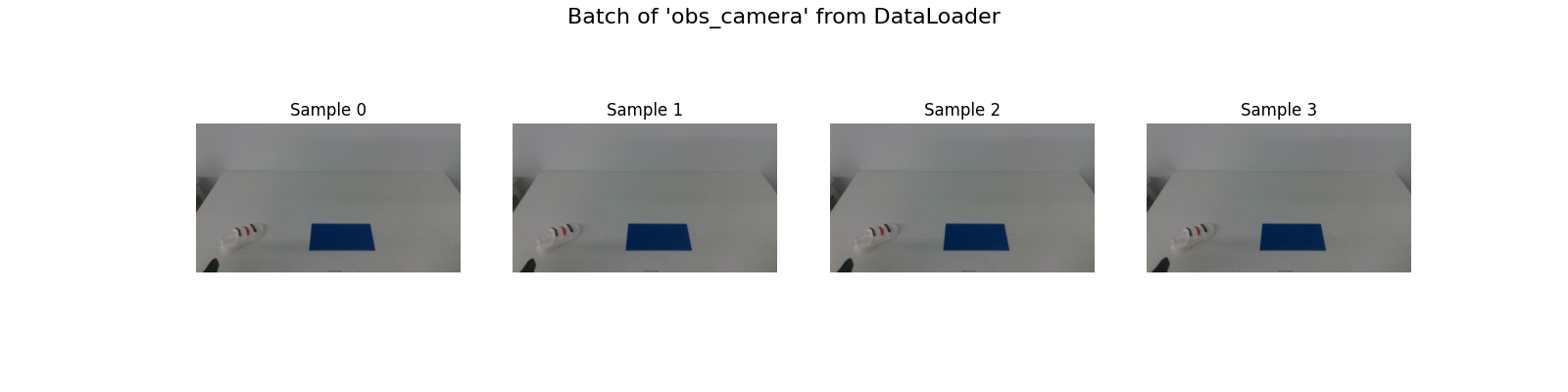 Integrating with PyTorch DataLoader - RoboOrchardLab